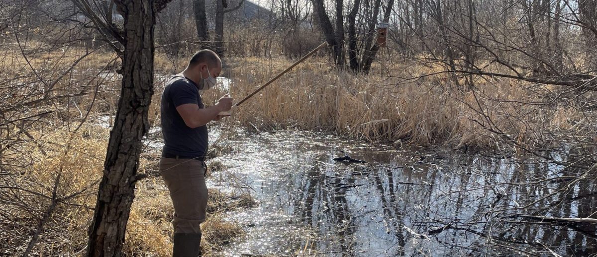 Warm March weather might bring early mosquito season to Minnesota ...