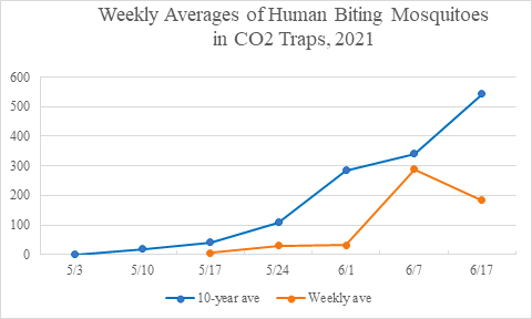 Insect Update - Week of June 14th - Dry weather keeps mosquito numbers ...