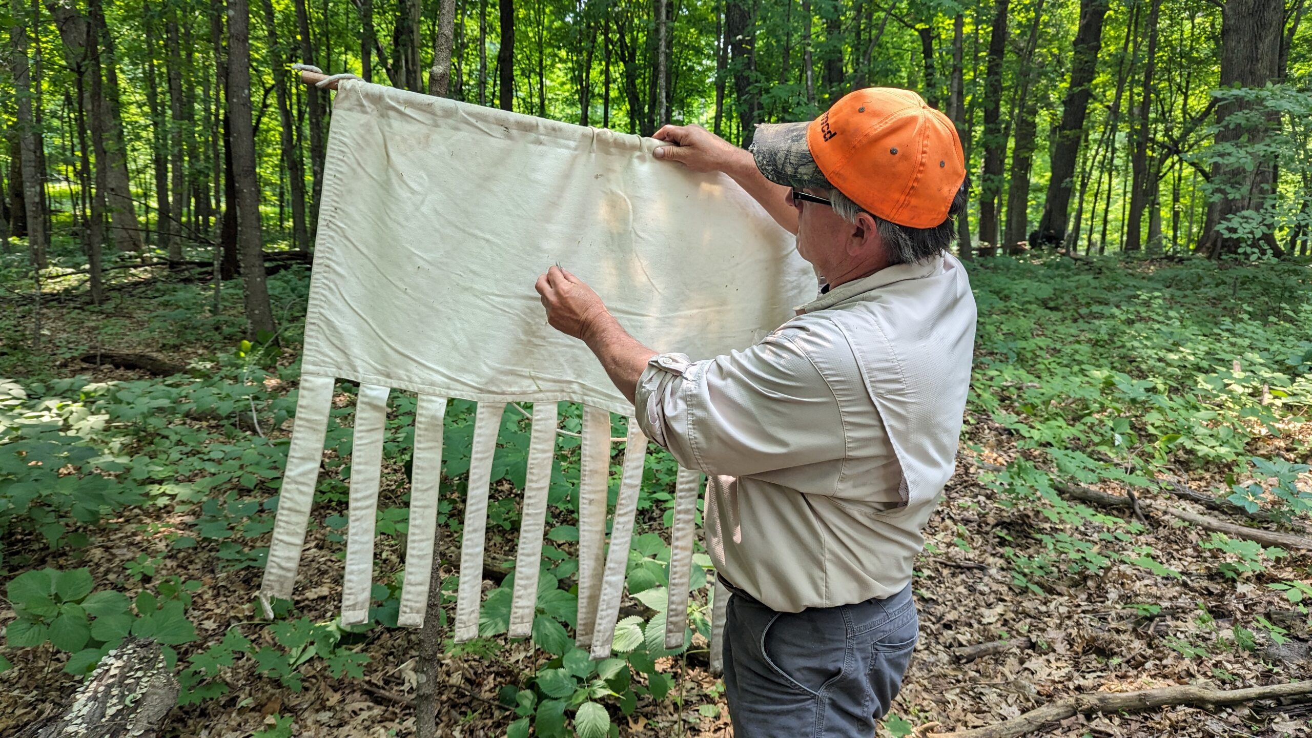 May is Lyme Disease Awareness Month. Protect Yourself from Ticks ...