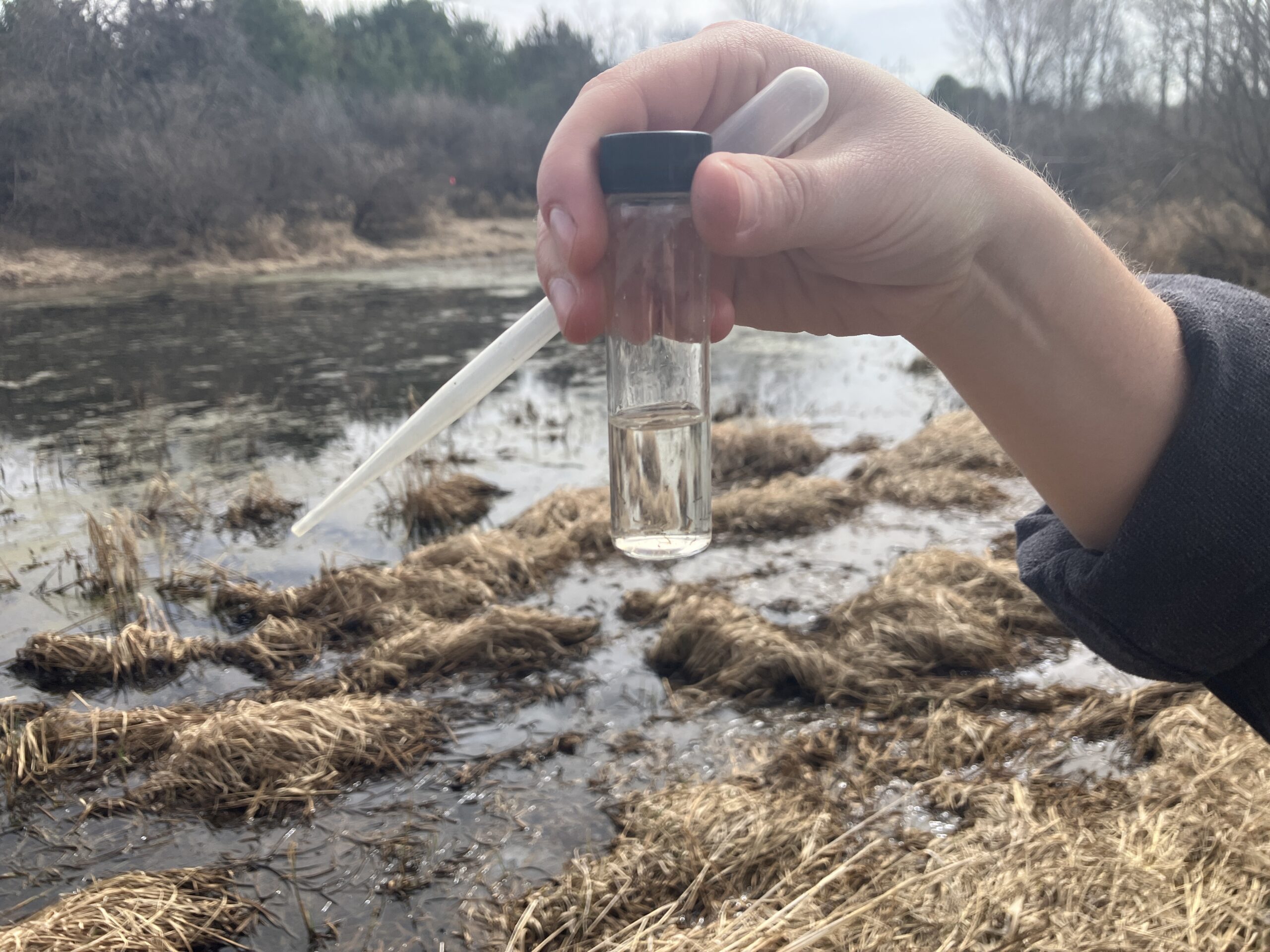 Spring Update - Projecting the Mosquito and Tick Season for 2026 ...